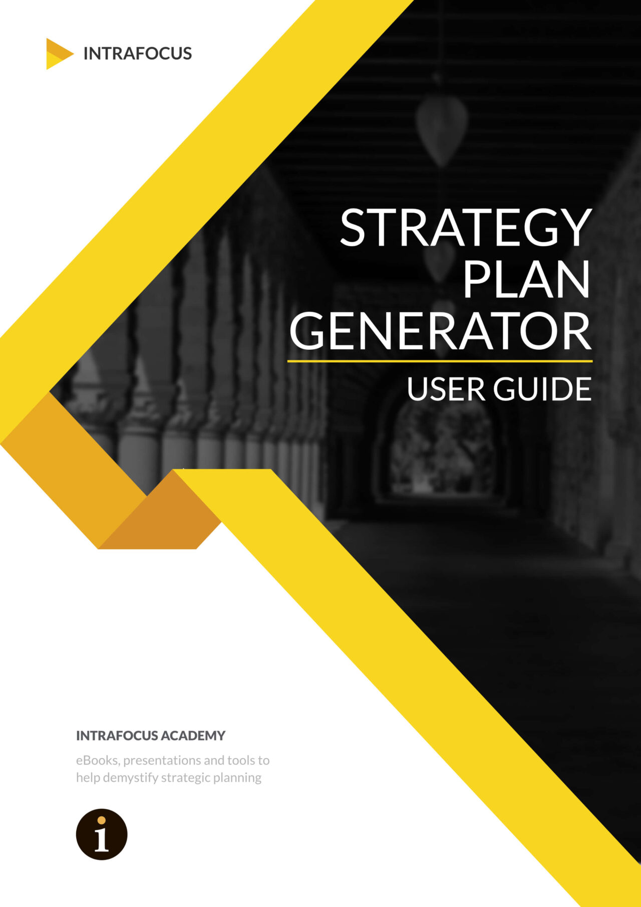 Strategic Plan Generator - Intrafocus