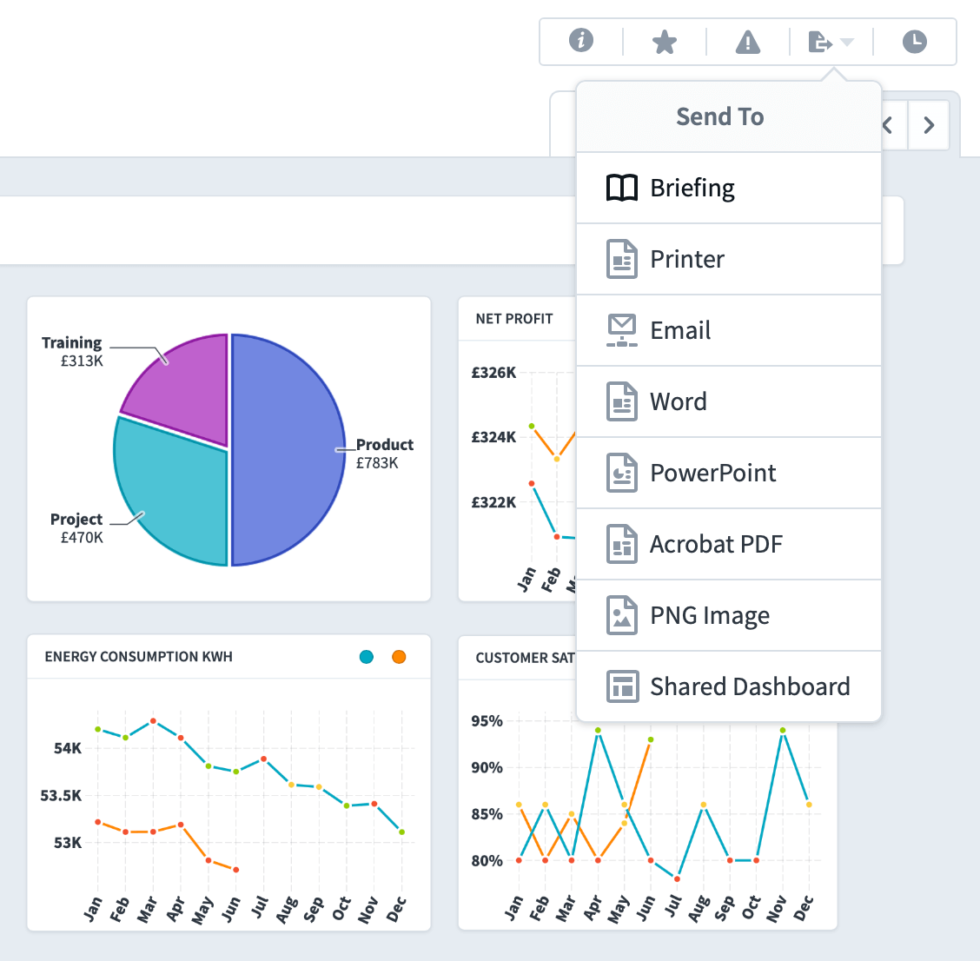Strategic Reporting Software - Intrafocus