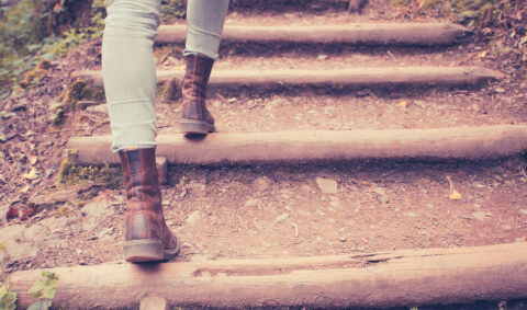 The BSC Strategic Planning Process - Intrafocus